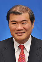 Dr. Teoh Tiong Ann - Mount Elizabeth Medical Centre - Private ...